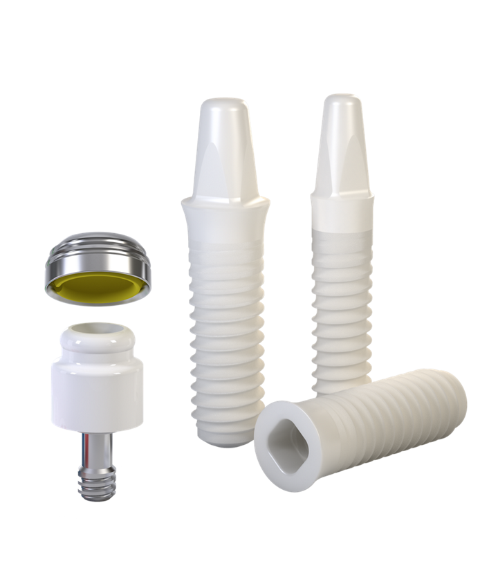 Ceramic Dental Implants Sarasota & Fruitville | Zirconia Dental Implant